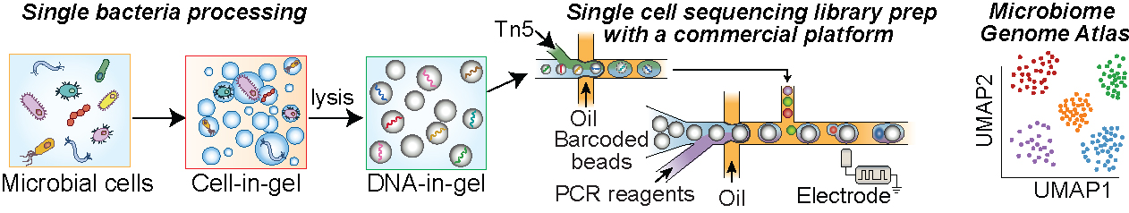 Research – Xiangpeng Li Laboratory